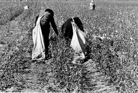 70 African american farm workers Stock Pictures, Editorial Images and ...