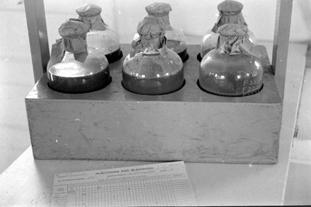 Lederle Laboratories, New York City, New York, USA Stock Pictures ...