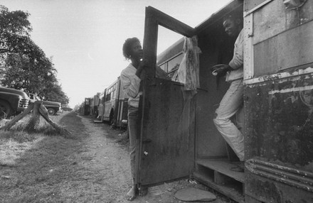 1,000 1950s immigration Stock Pictures, Editorial Images and Stock ...