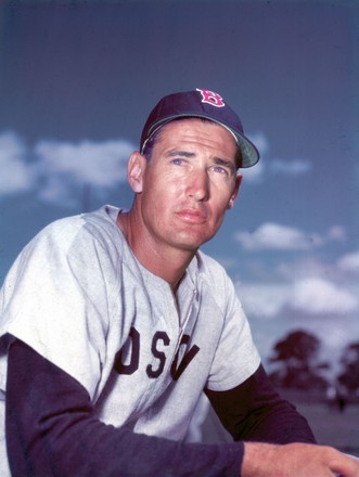 Red Sox Baseball Star Ted Williams Editorial Stock Photo - Stock Image ...