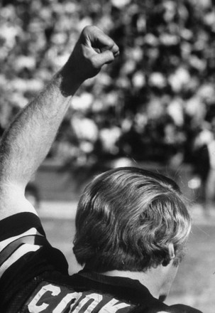Quarterback W Cincinnati Bengals Greg Cook Editorial Stock Photo ...