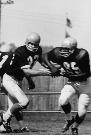 Quarterback W Cincinnati Bengals Greg Cook Editorial Stock Photo ...