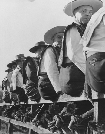 250 1950s cowboys Stock Pictures, Editorial Images and Stock Photos ...