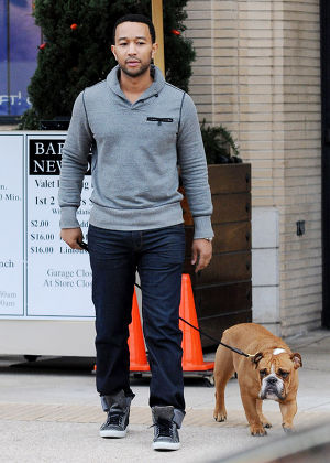 Christine Teigen John Legend Dog Puddy Editorial Stock Photo - Stock ...