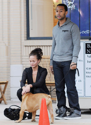 Christine Teigen John Legend Dog Puddy Editorial Stock Photo - Stock ...