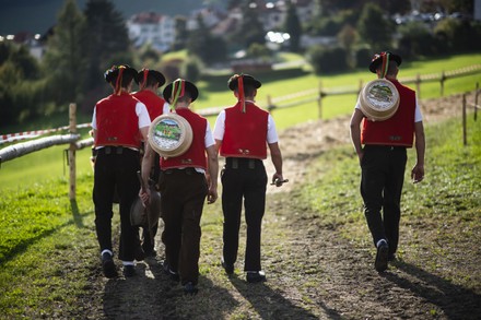 Alpine Herdsmen Attend Cattle Livestock Show Editorial Stock Photo ...