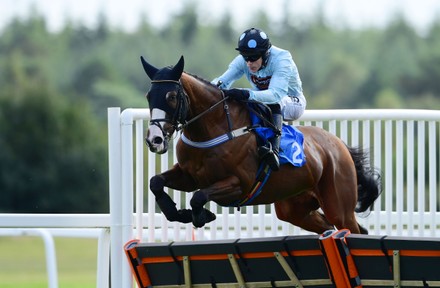 Exeter Races, Horse Racing, Exeter Racecourse, Exeter, UK - 07 Oct 2021 ...