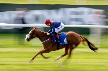 __COUNT__ Curragh Racing - Irish Cesarewitch Day, The Curragh ...