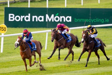 __COUNT__ Curragh Racing - Irish Cesarewitch Day, The Curragh ...
