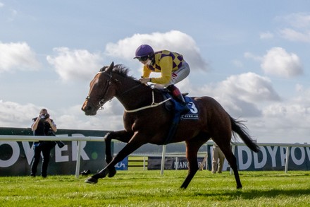 __COUNT__ Curragh Racing - Irish Cesarewitch Day, The Curragh ...