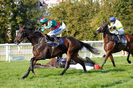 Grangeclare Glory Tom Scudamore Benefits Fall Editorial Stock Photo ...