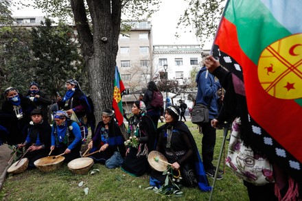79 Mapuche resistance Stock Pictures, Editorial Images and Stock Photos ...