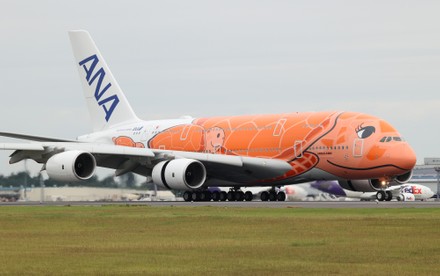 ANA receives Airbus A380 plane designed with an orange turtle "Flying ...