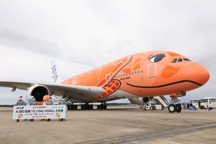 ANA receives Airbus A380 plane designed with an orange turtle "Flying ...