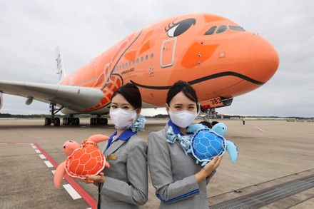 ANA receives Airbus A380 plane designed with an orange turtle "Flying ...