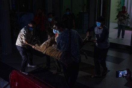 Oficers Indonesia Nature Conservation Agency Examine Editorial Stock ...