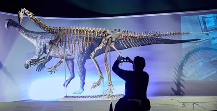 30 Plateosaurus Stock Pictures, Editorial Images and Stock Photos ...