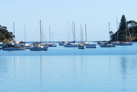 Boats Yachts Marooned Mangonui Bay Northland Editorial Stock Photo ...
