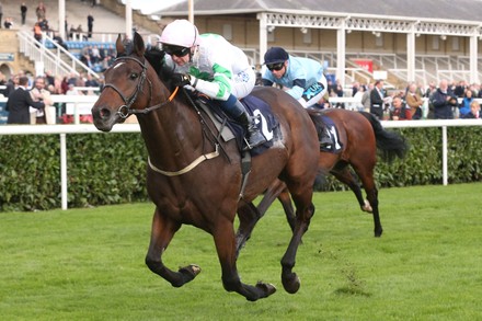 Mossbawn 2 Ridden By Connor Beasley Editorial Stock Photo - Stock Image ...
