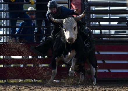 Canada Ontario Orangeville Rodeo Tour Championship Finals - 23 Oct 2021 ...