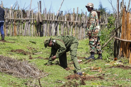 Armed Kenya Forest Service Ranger Looks Editorial Stock Photo - Stock ...