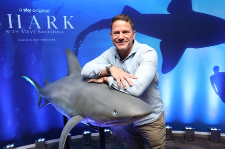 sky original documentary 'shark' steve backshall screening Stock Photos ...