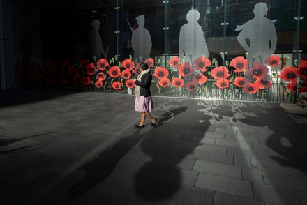 Woman Walks Past Display Poppies Window Editorial Stock Photo - Stock ...