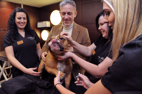 Patrick Cox His Dog Caesar Open Editorial Stock Photo - Stock Image ...