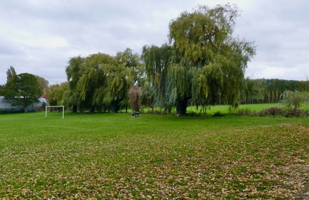__COUNT__ Seasonal weather, Reading, Berkshire, UK - 28 Oct 2021 Stock ...