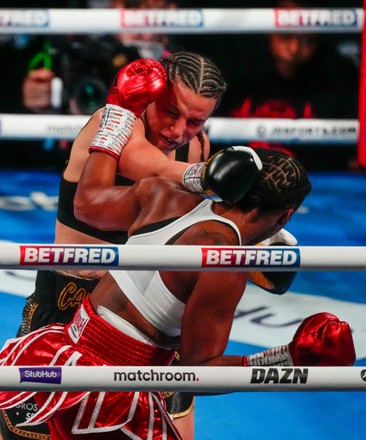 10 X 2 Mins Wbc Ibf Editorial Stock Photo - Stock Image | Shutterstock