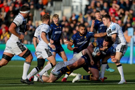 Jay Tyack Worcester Warriors Celebrates Victory Editorial Stock Photo ...