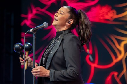 8 Vika bull Stock Pictures, Editorial Images and Stock Photos ...