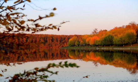 Autumn weather in Romania, Bucharest - 31 Oct 2021 Stock Pictures ...