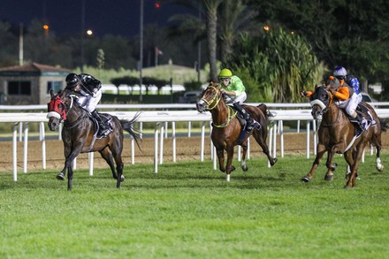 Af Soqrat Ae Ridden By Malin Editorial Stock Photo - Stock Image ...