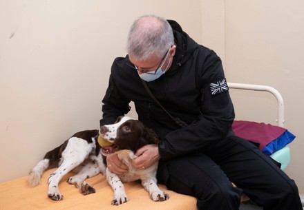 Hmp Training Kennels Stirling House Training Editorial Stock Photo ...