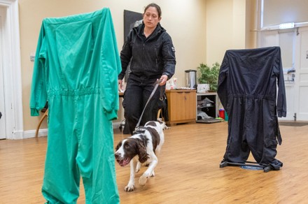 Hmp Training Kennels Stirling House Training Editorial Stock Photo ...