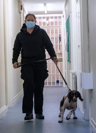 Hmp Training Kennels Stirling House Training Editorial Stock Photo ...