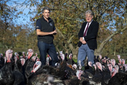 Copas Turkey farm, Cookham, Berkshire, UK - 23 Oct 2020 Stock Pictures ...