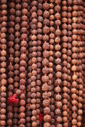 19 Shivite Stock Pictures, Editorial Images and Stock Photos | Shutterstock