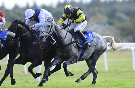 Terrierman Ridden By Thomas Doggrell L Editorial Stock Photo - Stock ...