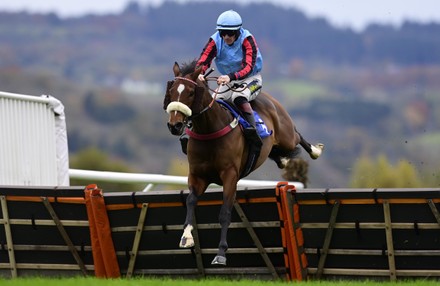 250 King power racing Stock Pictures, Editorial Images and Stock Photos ...