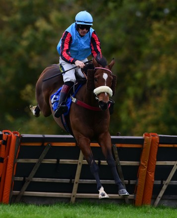 250 King power racing Stock Pictures, Editorial Images and Stock Photos ...