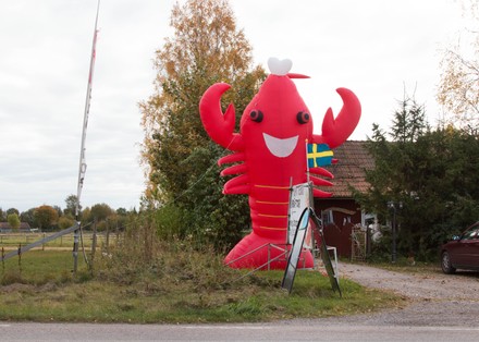 10 Crayfish shop Stock Pictures, Editorial Images and Stock Photos ...