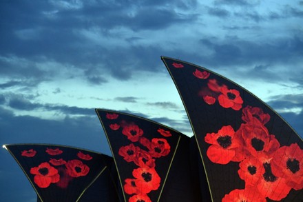 Poppy Flowers Projected Onto Sydney Opera Editorial Stock Photo - Stock ...