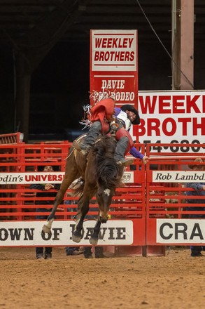 2021 Southeastern Circuit Finals Rodeo PRCA Extreme, Bergeron Rodeo ...