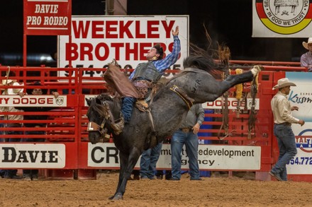 2021 Southeastern Circuit Finals Rodeo PRCA Extreme, Bergeron Rodeo ...