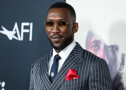 Actor Lee Shorten Arrives 2021 Afi Editorial Stock Photo - Stock Image ...