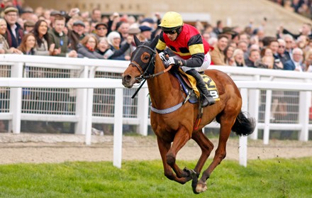 Knight Salute Paddy Brennan Wins Jcb Editorial Stock Photo - Stock ...