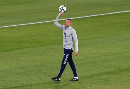 Spains National Soccer Team Head Coach Editorial Stock Photo - Stock ...