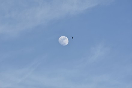 Full Moon Rises Early Morning Over Editorial Stock Photo - Stock Image ...